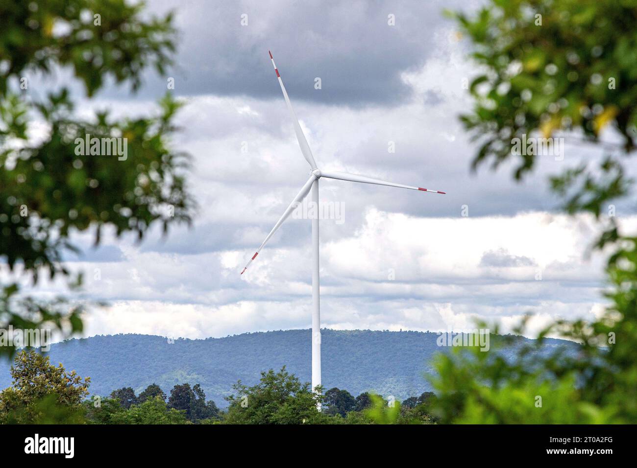 Chaiyaphum. 5th Oct, 2023. This photo taken on Oct. 5, 2023 shows a ...
