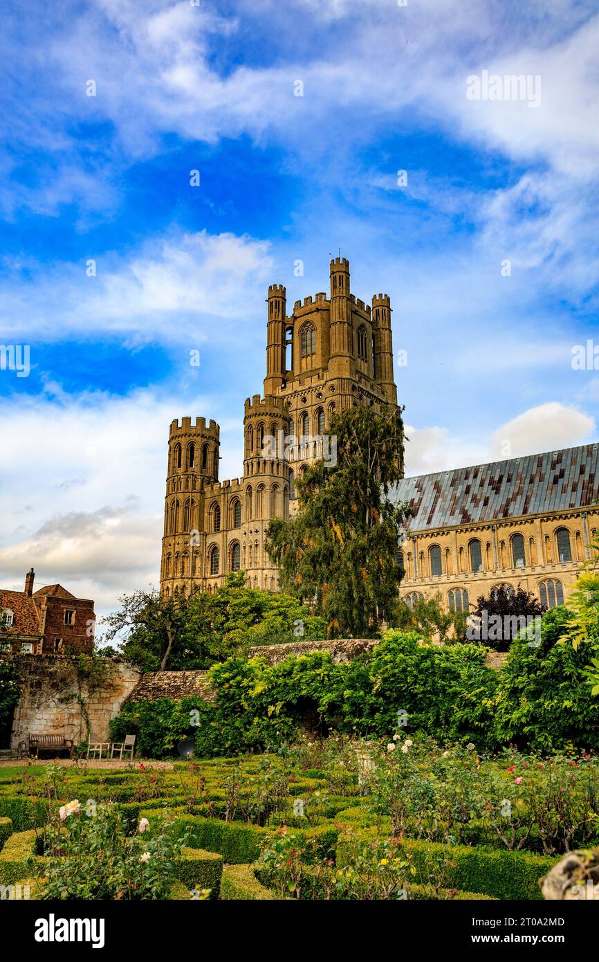 The south side of Ely Cathedral from the Deanery Garden showing main ...