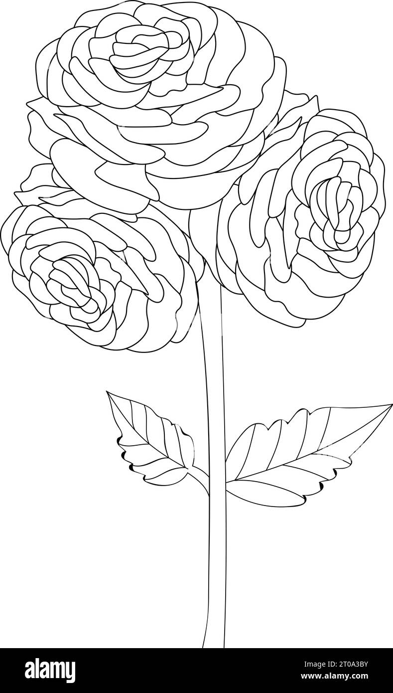 Summer coloring pages easy Stock Vector Images - Alamy