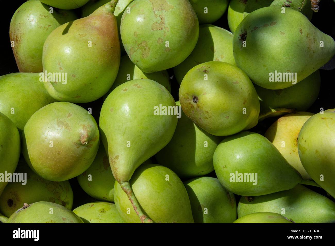 Fruta de nutrición hi-res stock photography and images - Alamy
