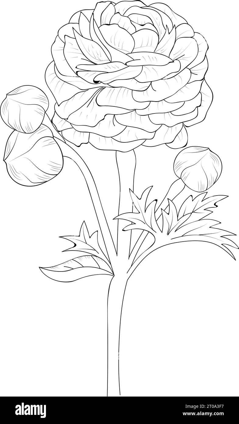 Ran Coloring Page
