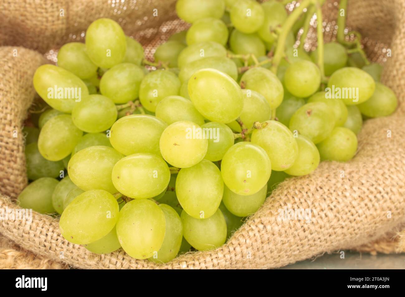 Bunch grape single hi-res stock photography and images - Alamy