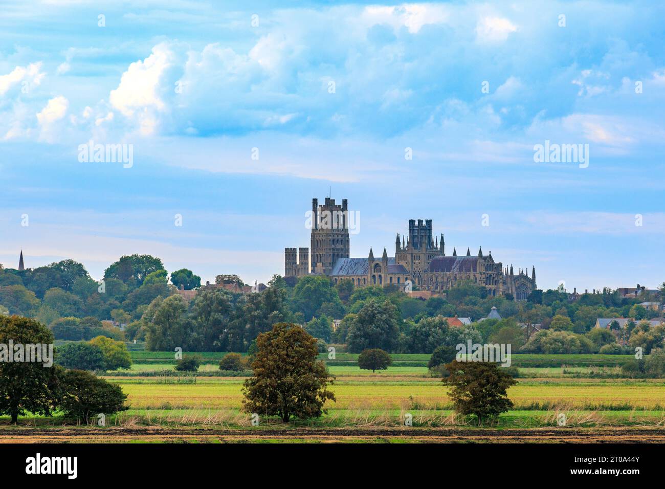 Ely Cathedral is known as The Ship of the Fens because of its raised ...