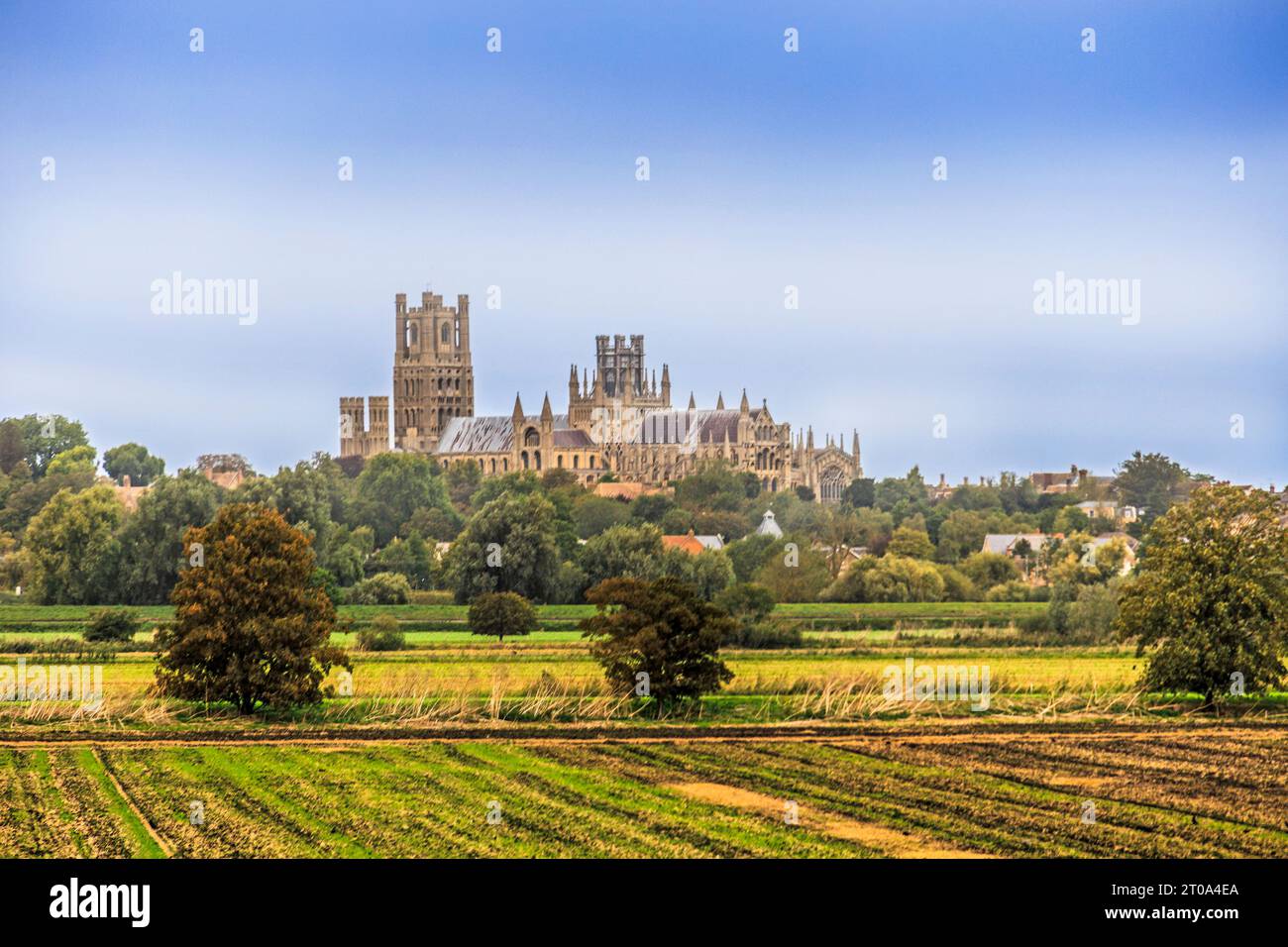 Ely Cathedral is known as The Ship of the Fens because of its raised ...