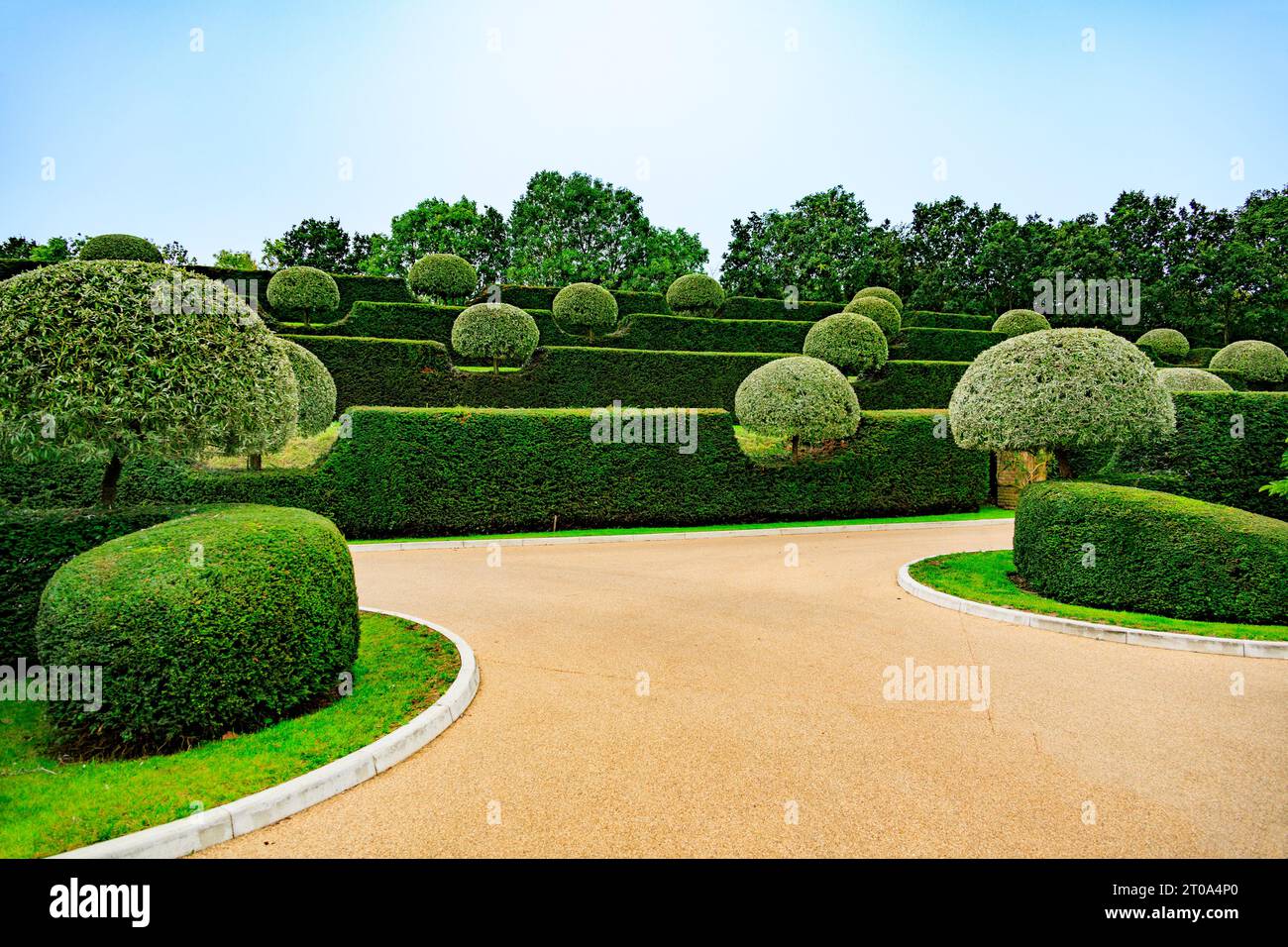 The meticulously and neatly shaped pear trees and yew hedges in the ...