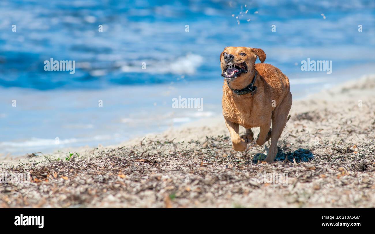 On the sun-drenched shores of Playa del Garagol in Mallorca, Islas ...