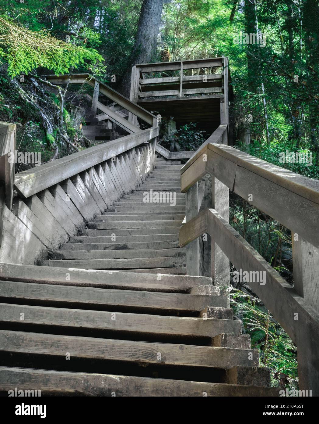 Long flight stairs hi-res stock photography and images - Alamy