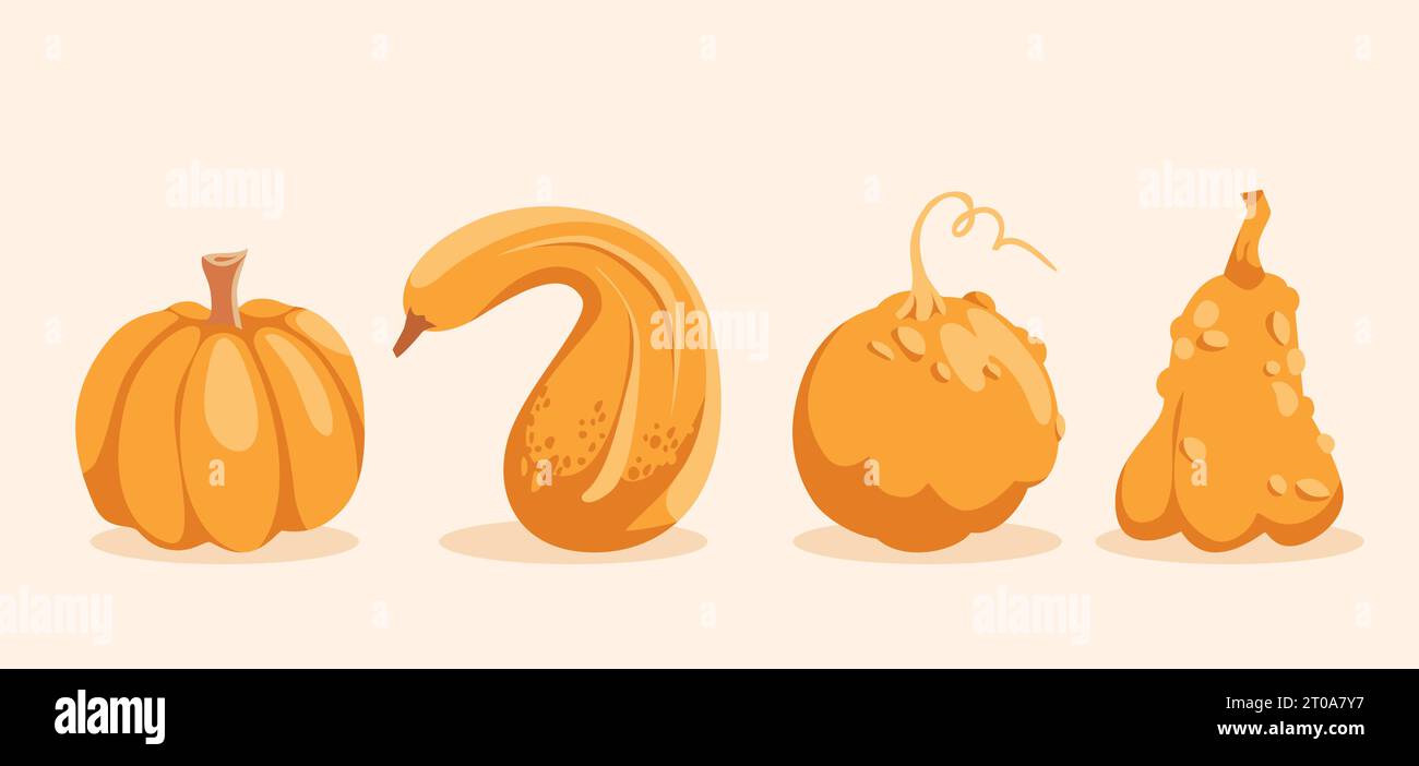 Vector Editable Set of Four Colourful Pumpkins Stock Vector Image & Art ...