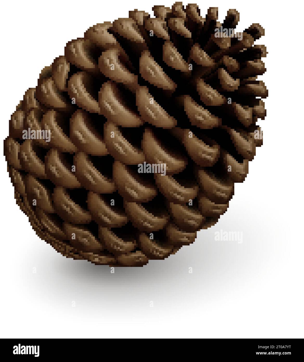 Realistic Dry Brown Pine Cone. Single Decorative Woody Fruit of a ...
