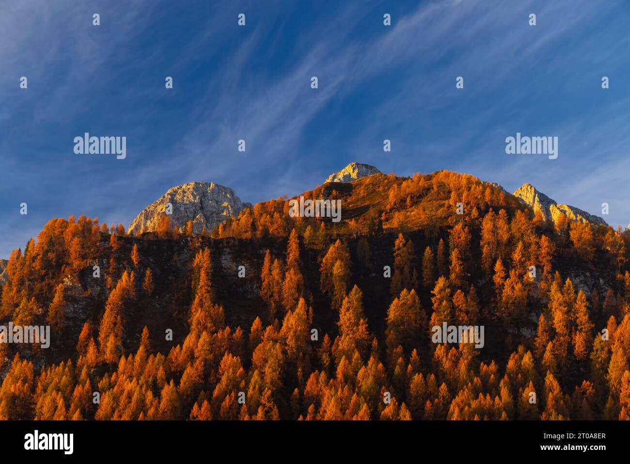 Landscape near Sella di Razzo and Sella di Rioda pass, Carnic Alps ...