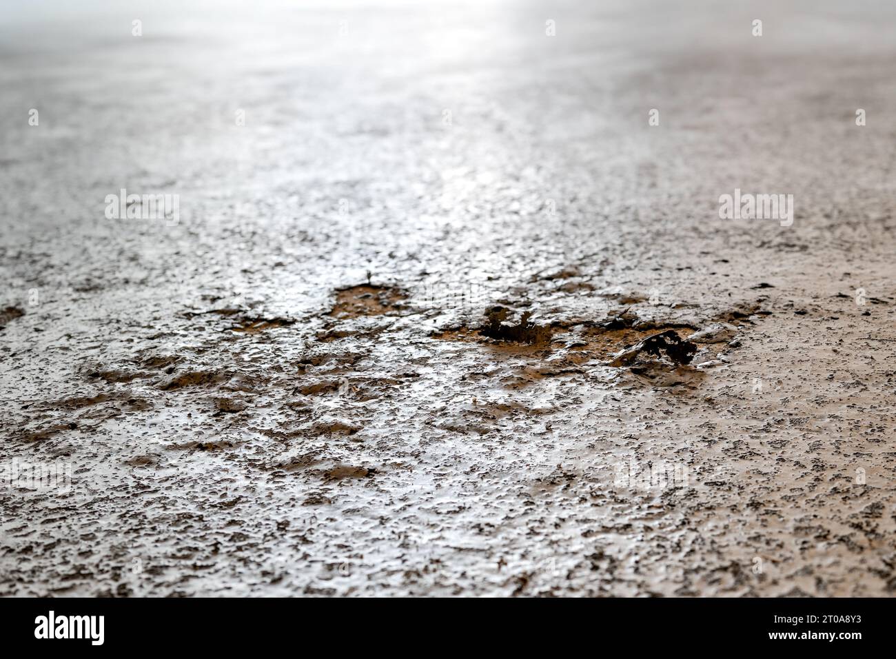 Driveway surface damage. Roadway grunge texture. Close up of bubbling ...