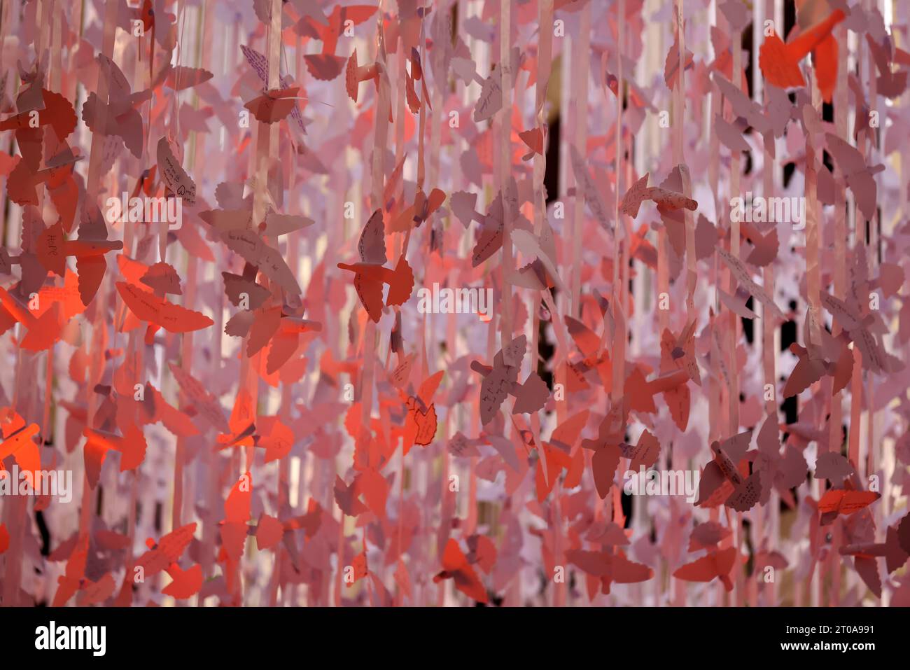 Chichester, West Sussex, UK. Sculptor Peter Walker's Peace Doves, a new ...