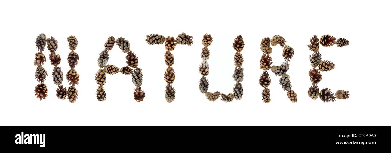 NATURE wording-concept spelled out in colorful red subflowers which is ...