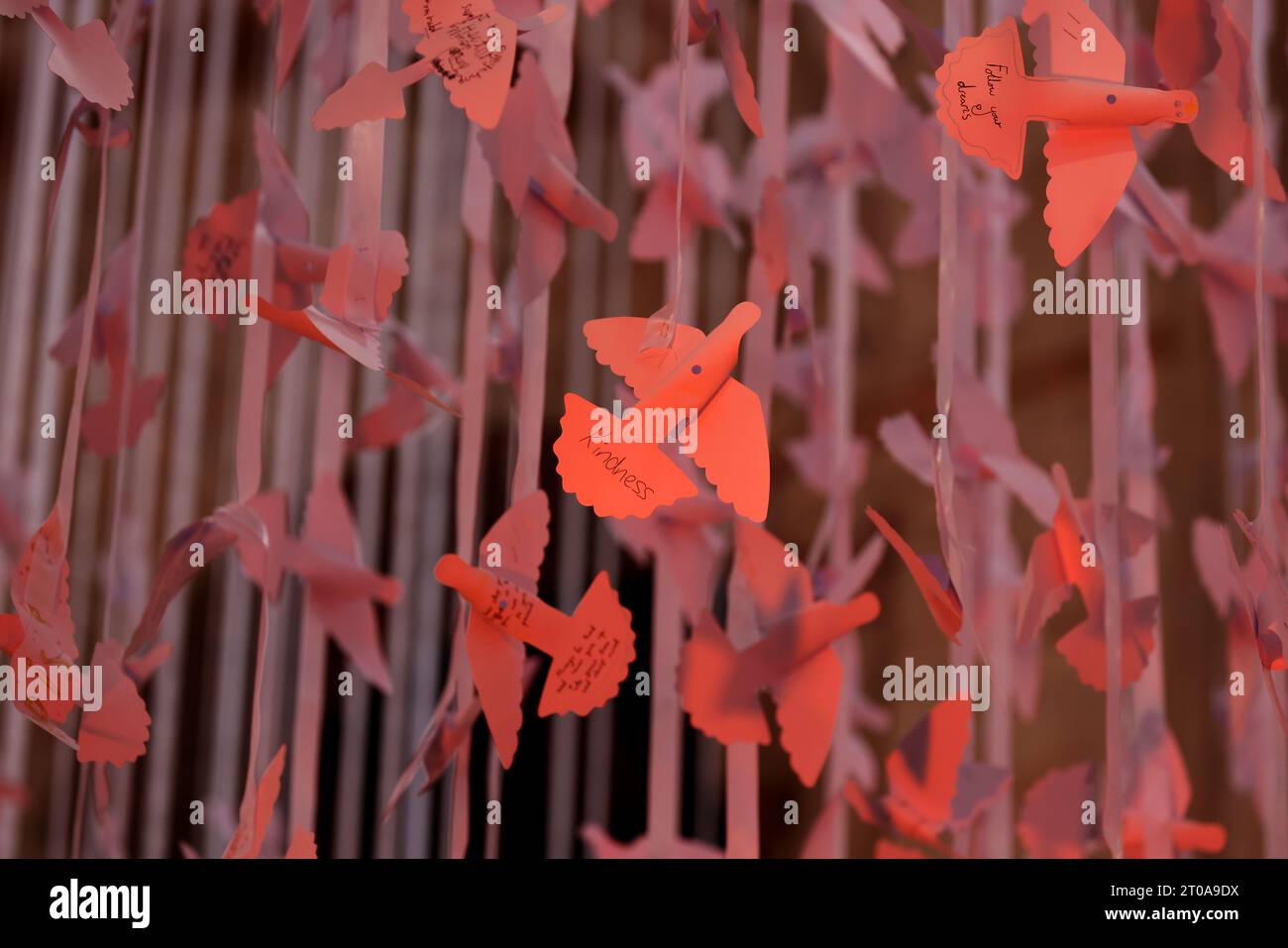 Chichester, West Sussex, UK. Sculptor Peter Walker's Peace Doves, a new ...