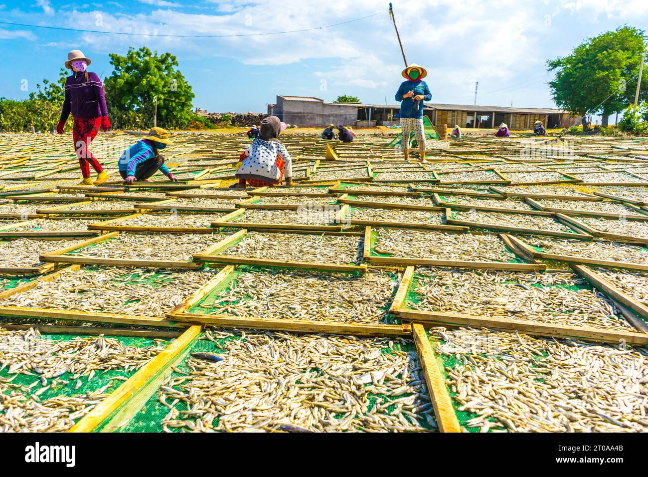 Salt farmers are making salt, the salt fields are pure white, men and ...