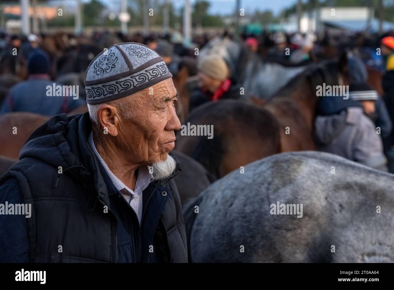 Farm animals in city hi-res stock photography and images - Alamy