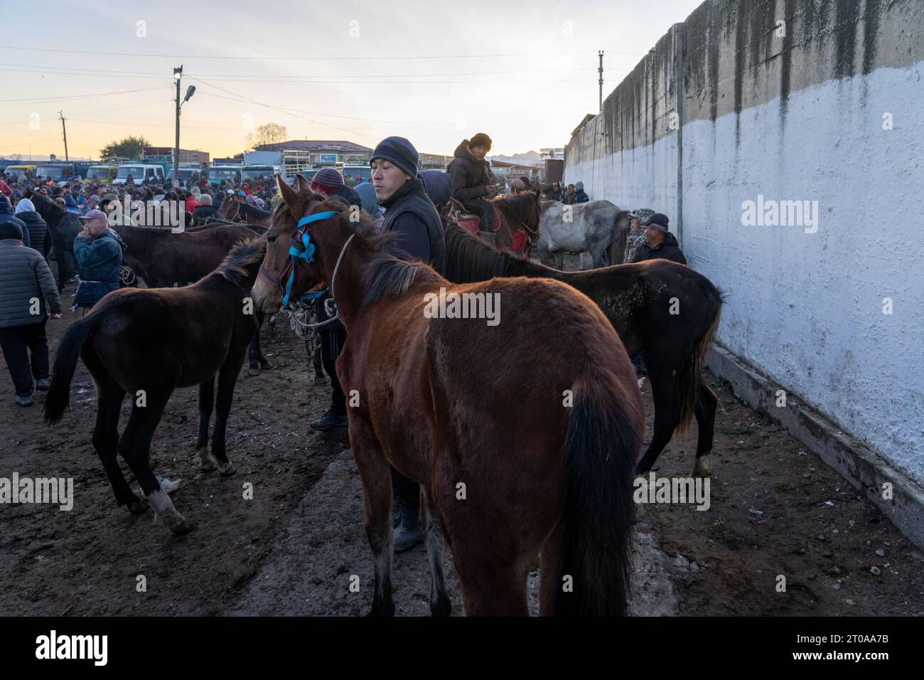 Weekly farm animals market in Karakol, Kyrgyzstan Stock Photo - Alamy