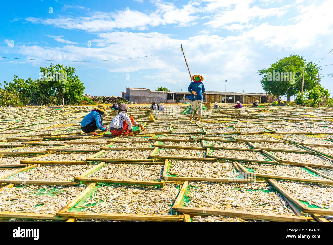 Salt farmers are making salt, the salt fields are pure white, men and ...