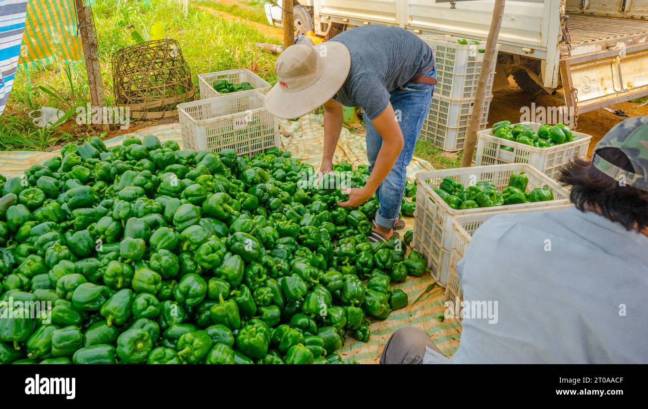 Salt farmers are making salt, the salt fields are pure white, men and ...