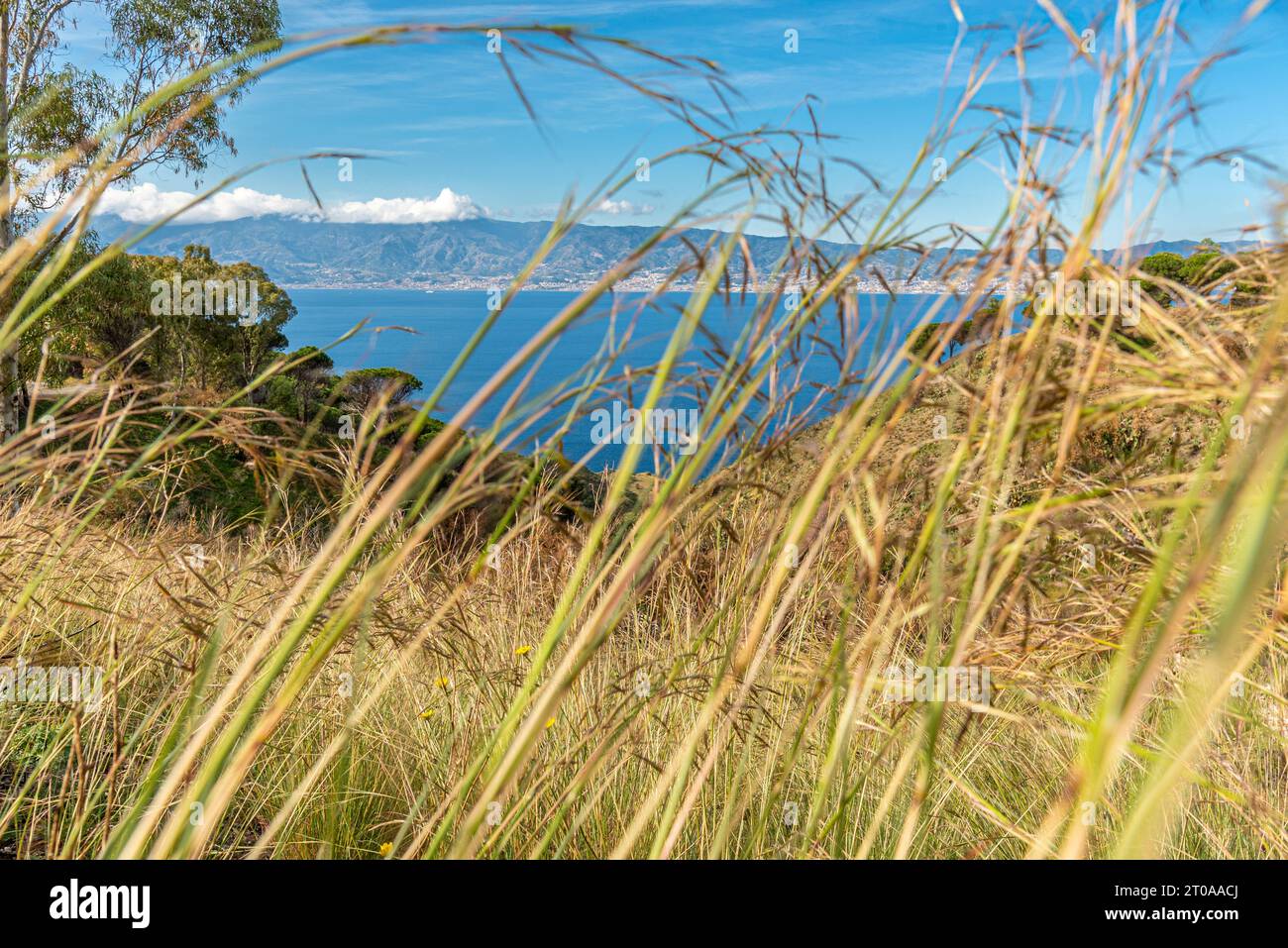 Stretto piano hi-res stock photography and images - Alamy