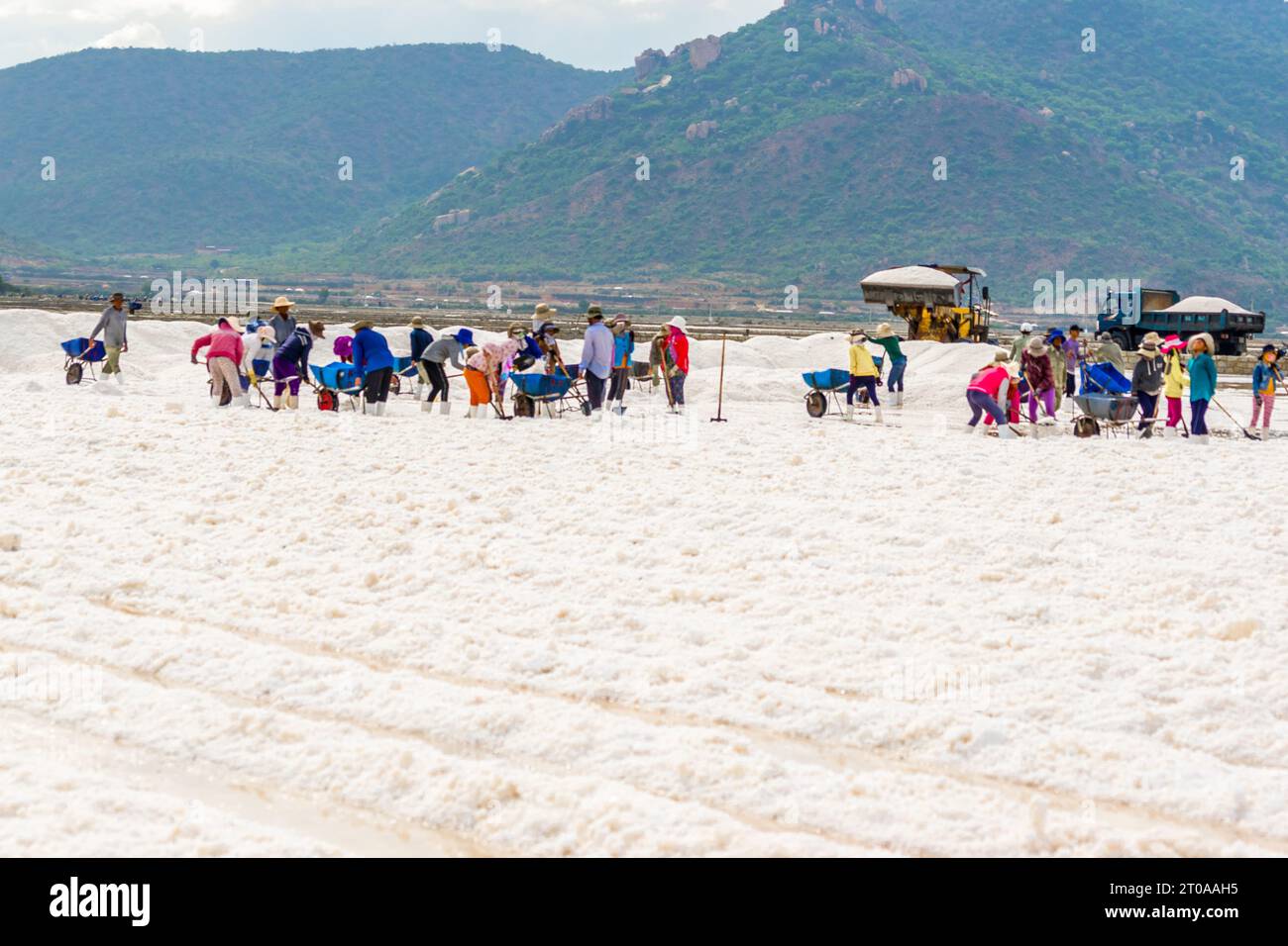 Salt farmers are making salt, the salt fields are pure white, men and ...