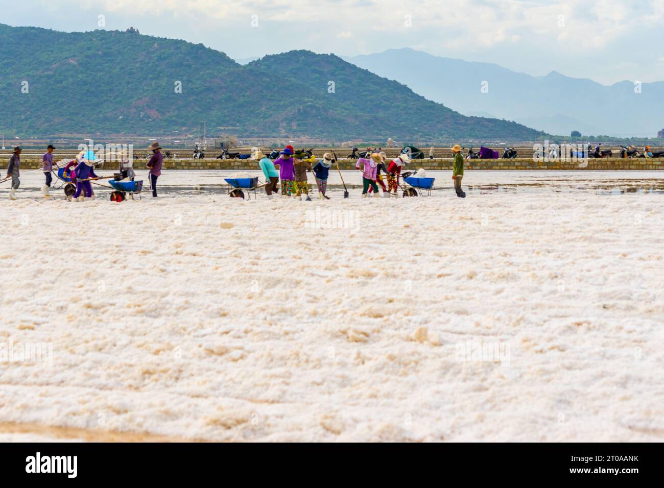 Salt farmers are making salt, the salt fields are pure white, men and ...
