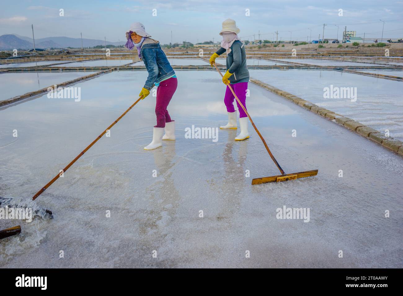 Salt farmers are making salt, the salt fields are pure white, men and ...