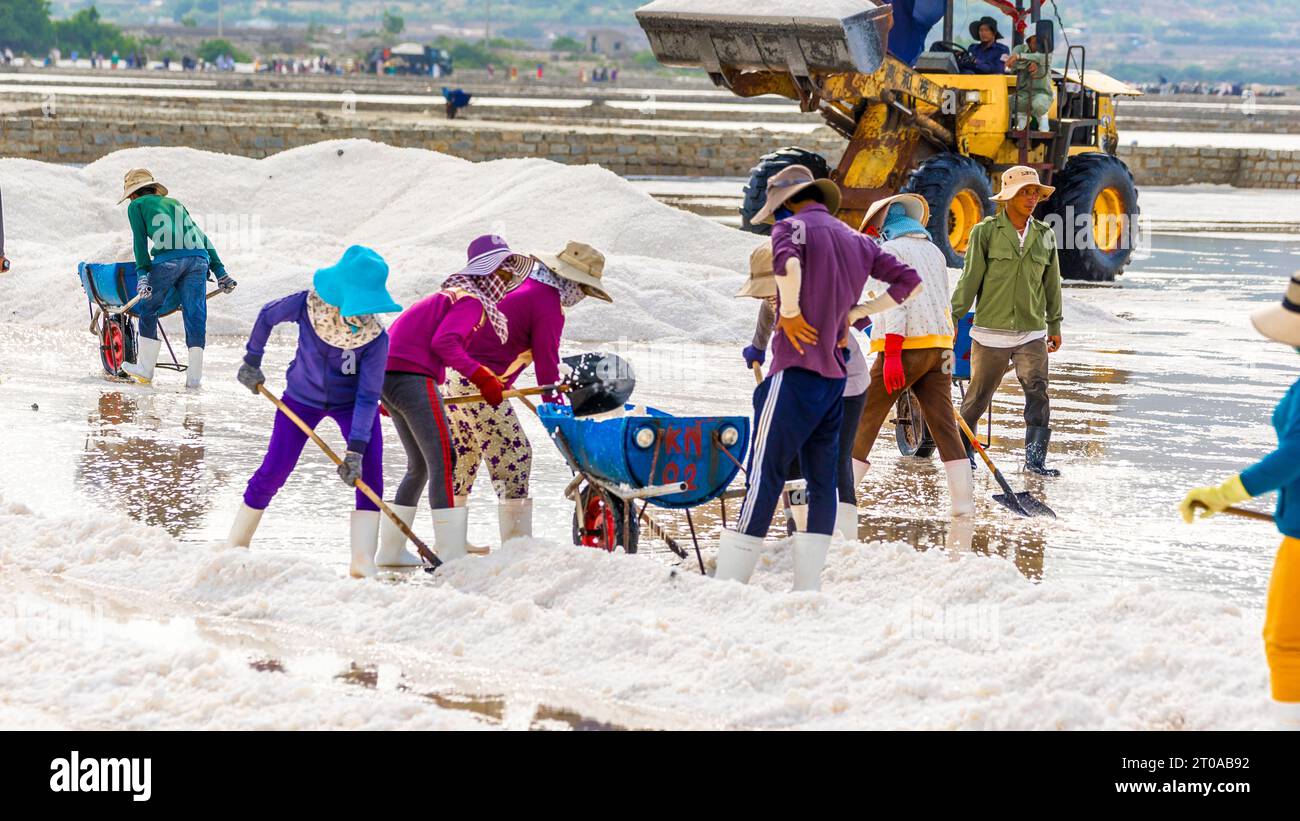 Salt farmers are making salt, the salt fields are pure white, men and ...