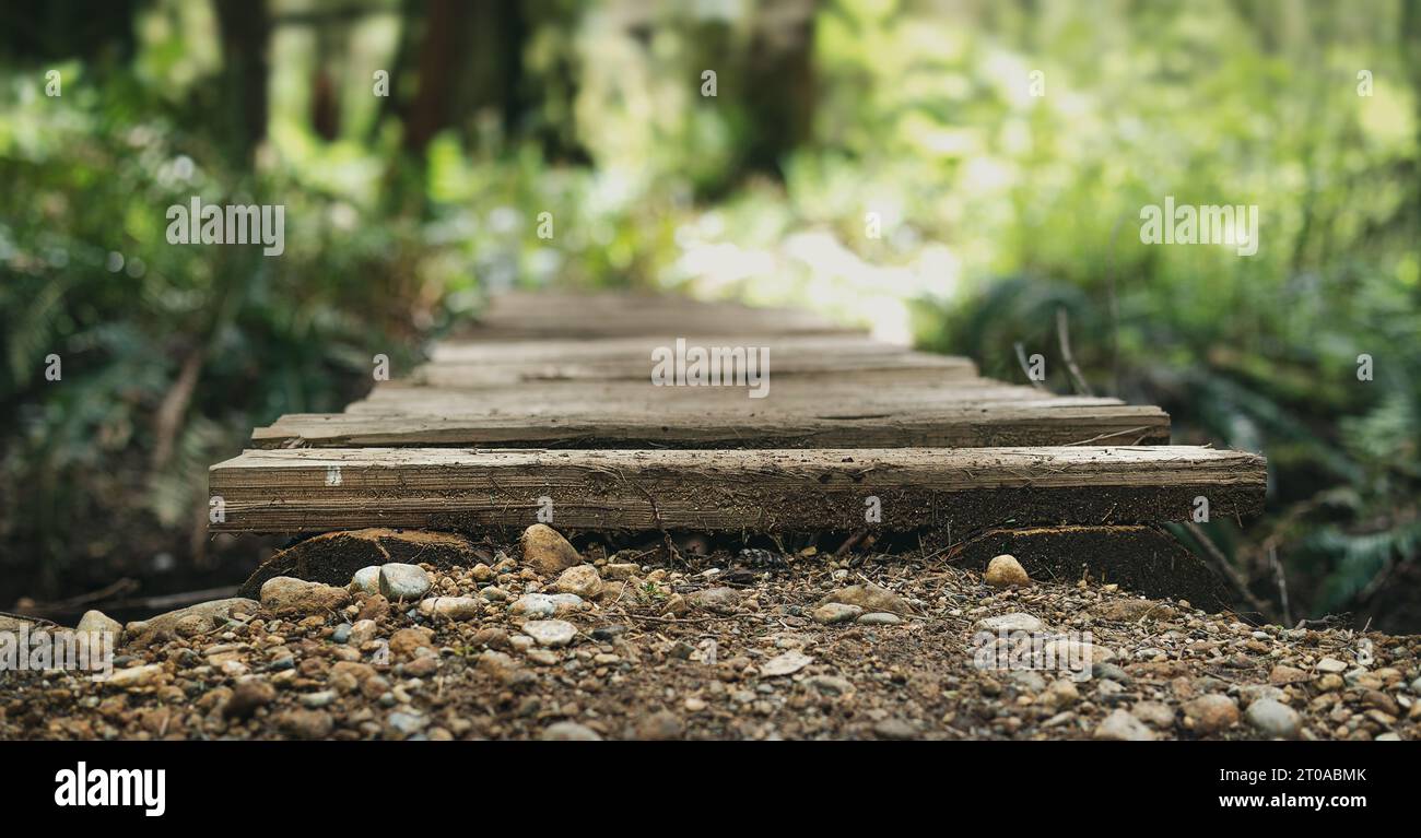 Ground level view hi-res stock photography and images - Alamy