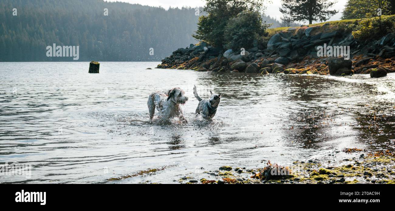 Happy mornings hi-res stock photography and images - Alamy