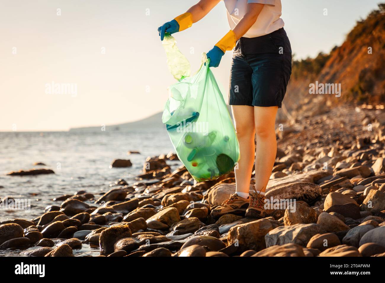 Volunteer in rubber gloves collects garbage on pebble wild beach and ...