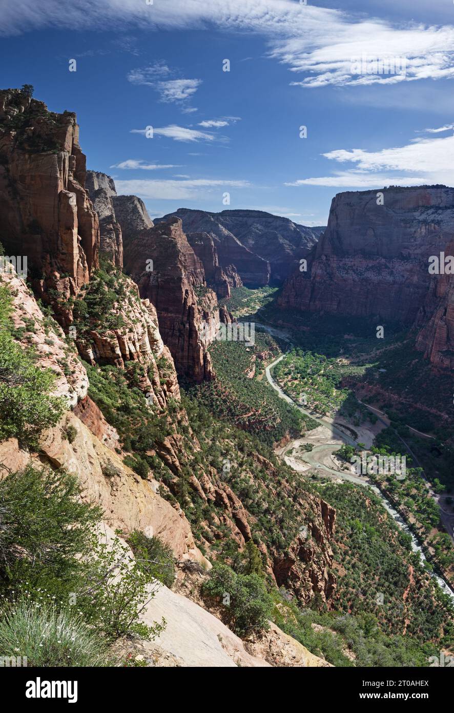 vertical image looking up Zion Canyon from the side of Lady Mountain ...