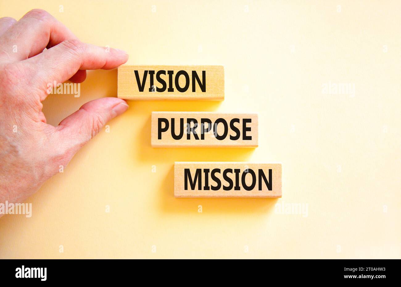 Vision purpose mission symbol. Concept word Vision Purpose Mission on ...