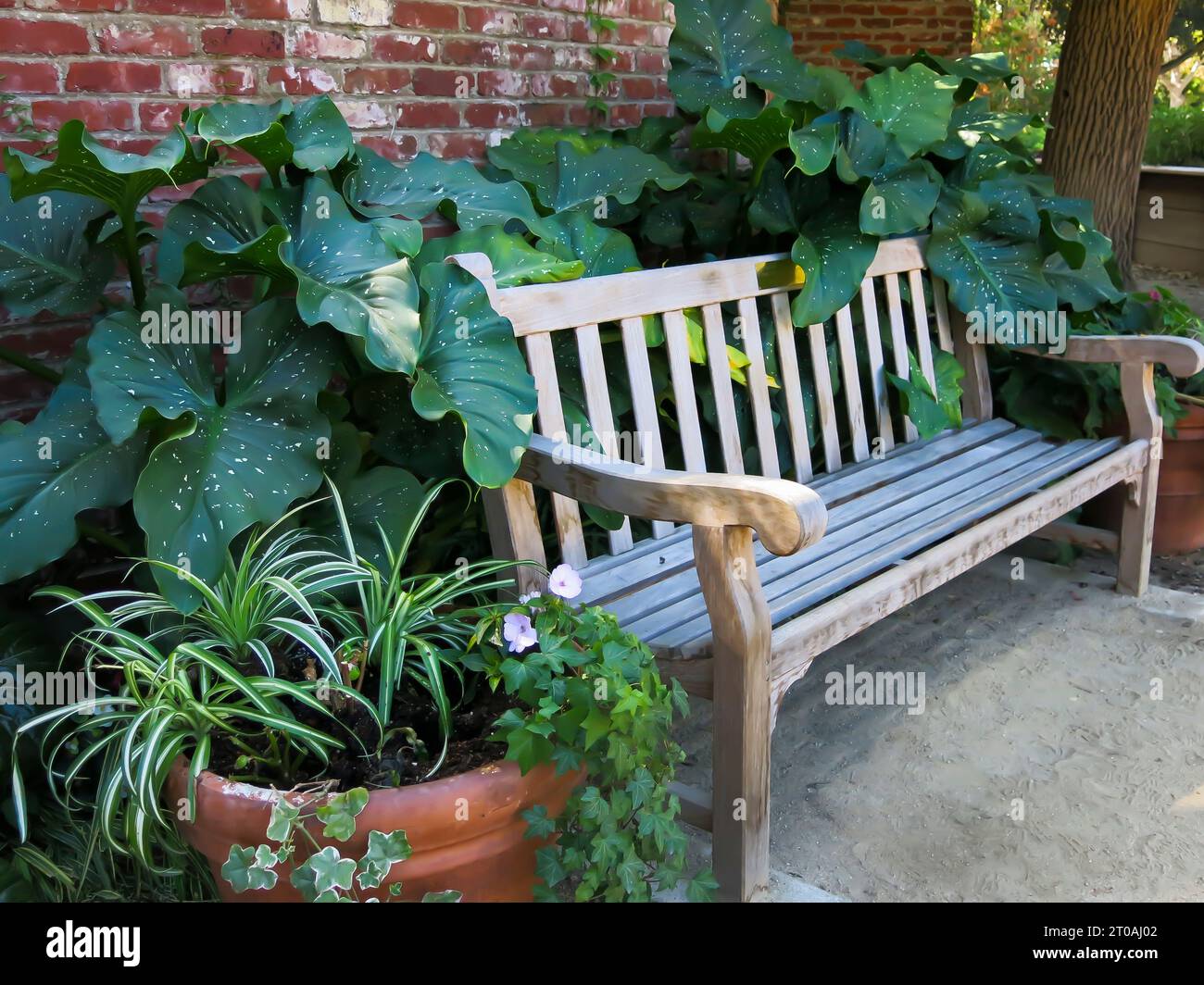 Wood garden bench hi-res stock photography and images - Alamy