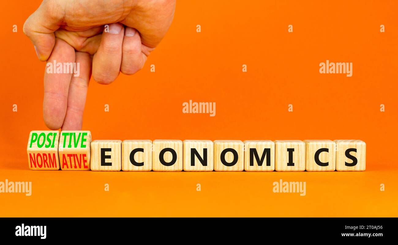 Positive or normative economics symbol. Concept words Positive ...