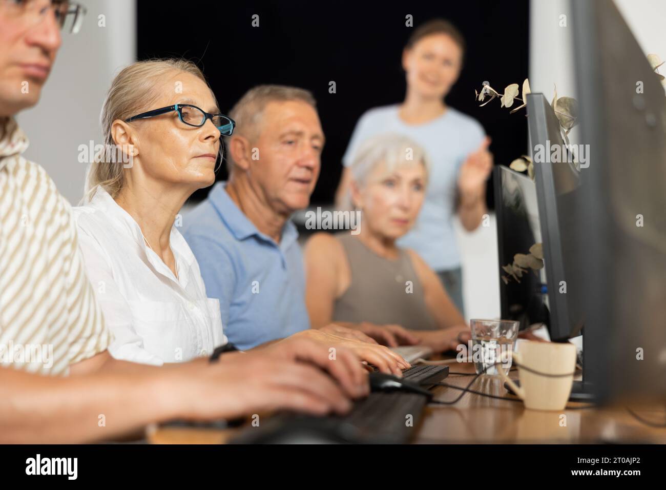 Elderly woman mastering computer skills during group course with mentor ...