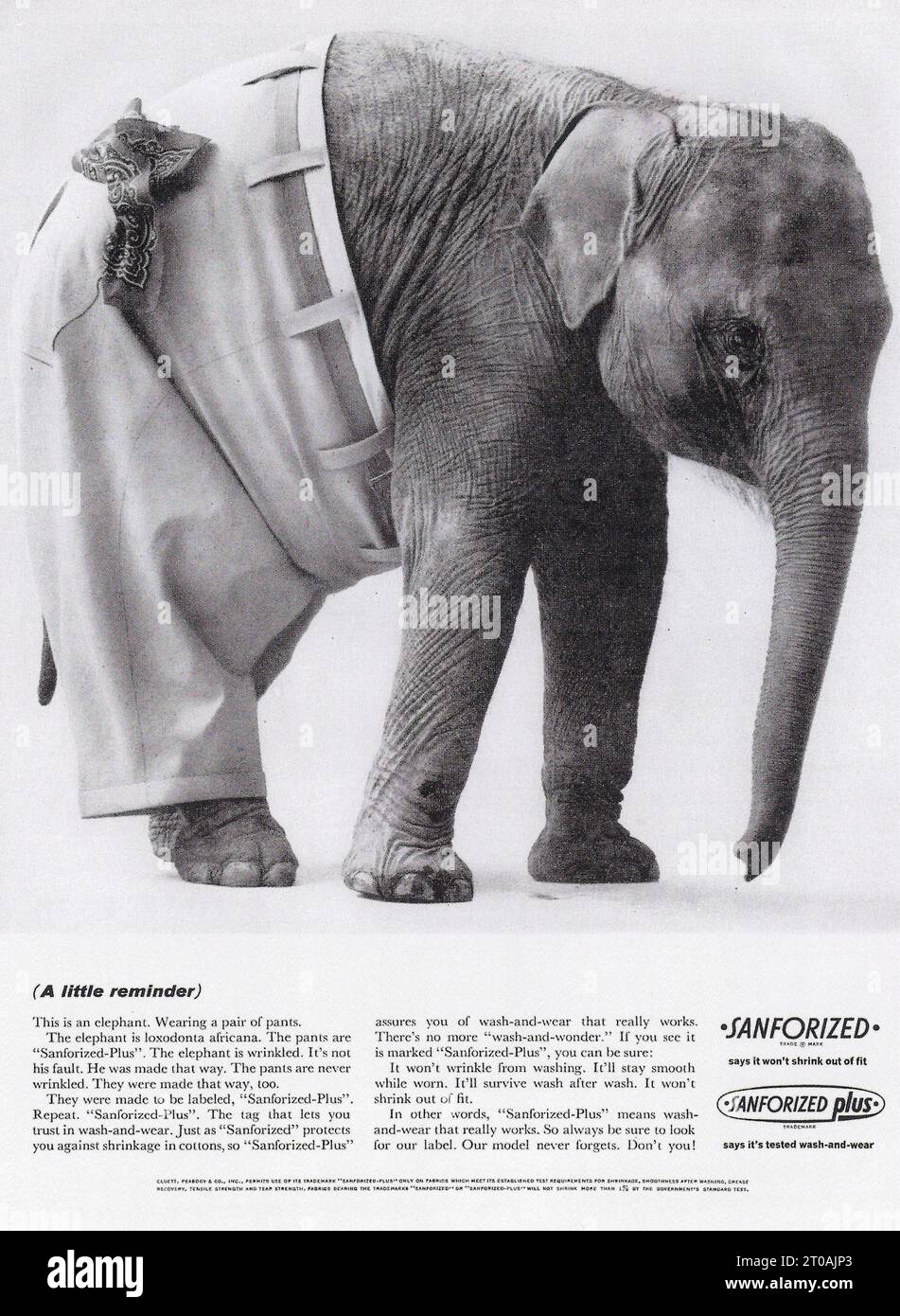 Sanforized ad, 1963 Stock Photo - Alamy