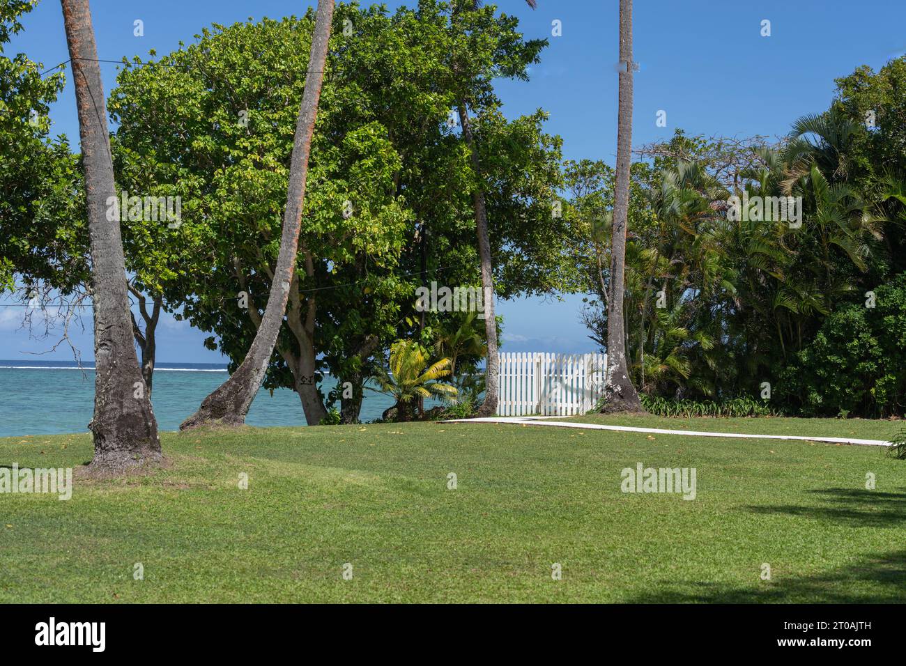 Path leading across lawn to white picket fence with palms and foliage ...