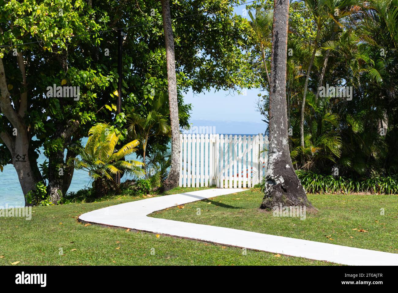 White path curving and leading to picket fence and gate between palm ...