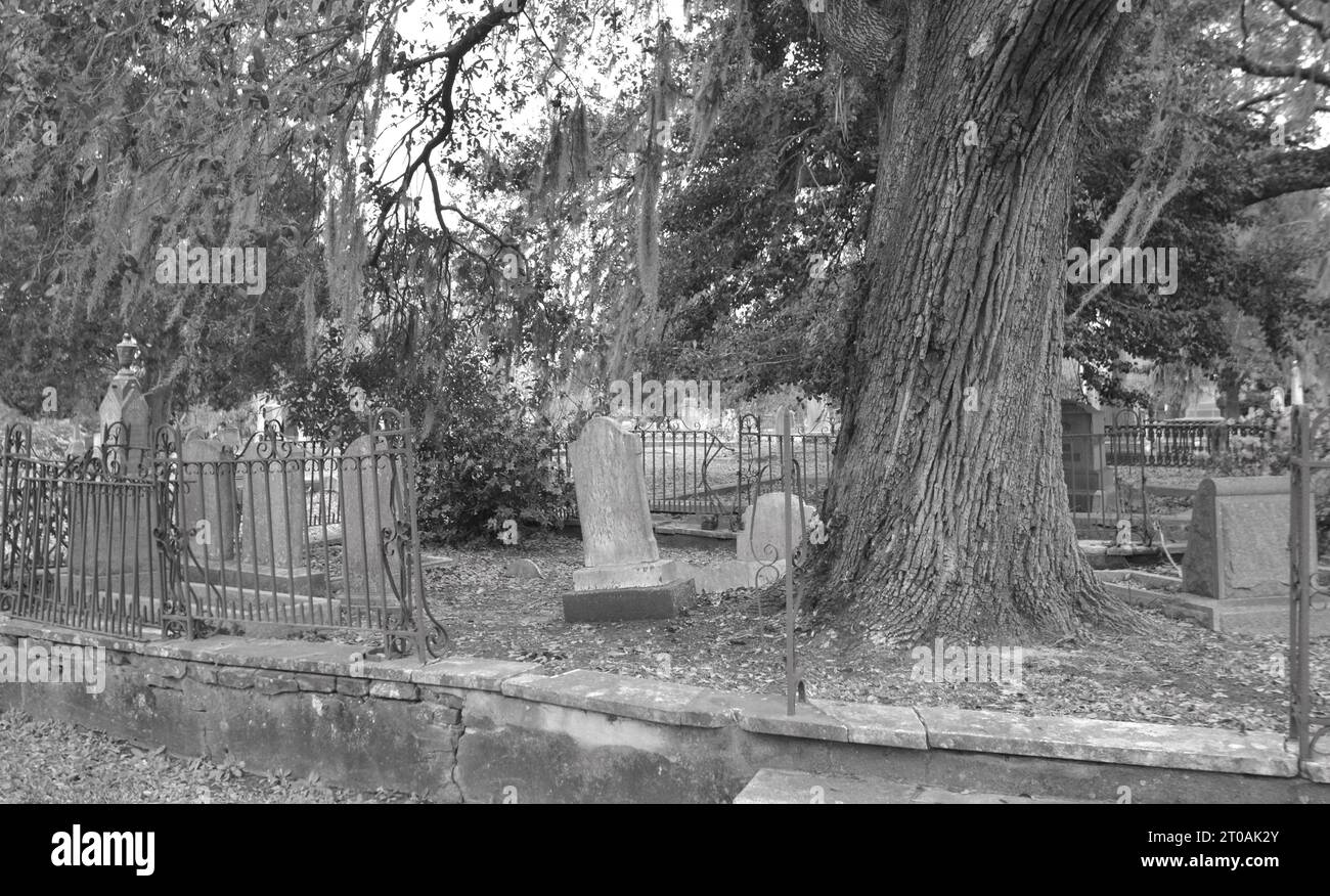 Graveyard background hi-res stock photography and images - Alamy