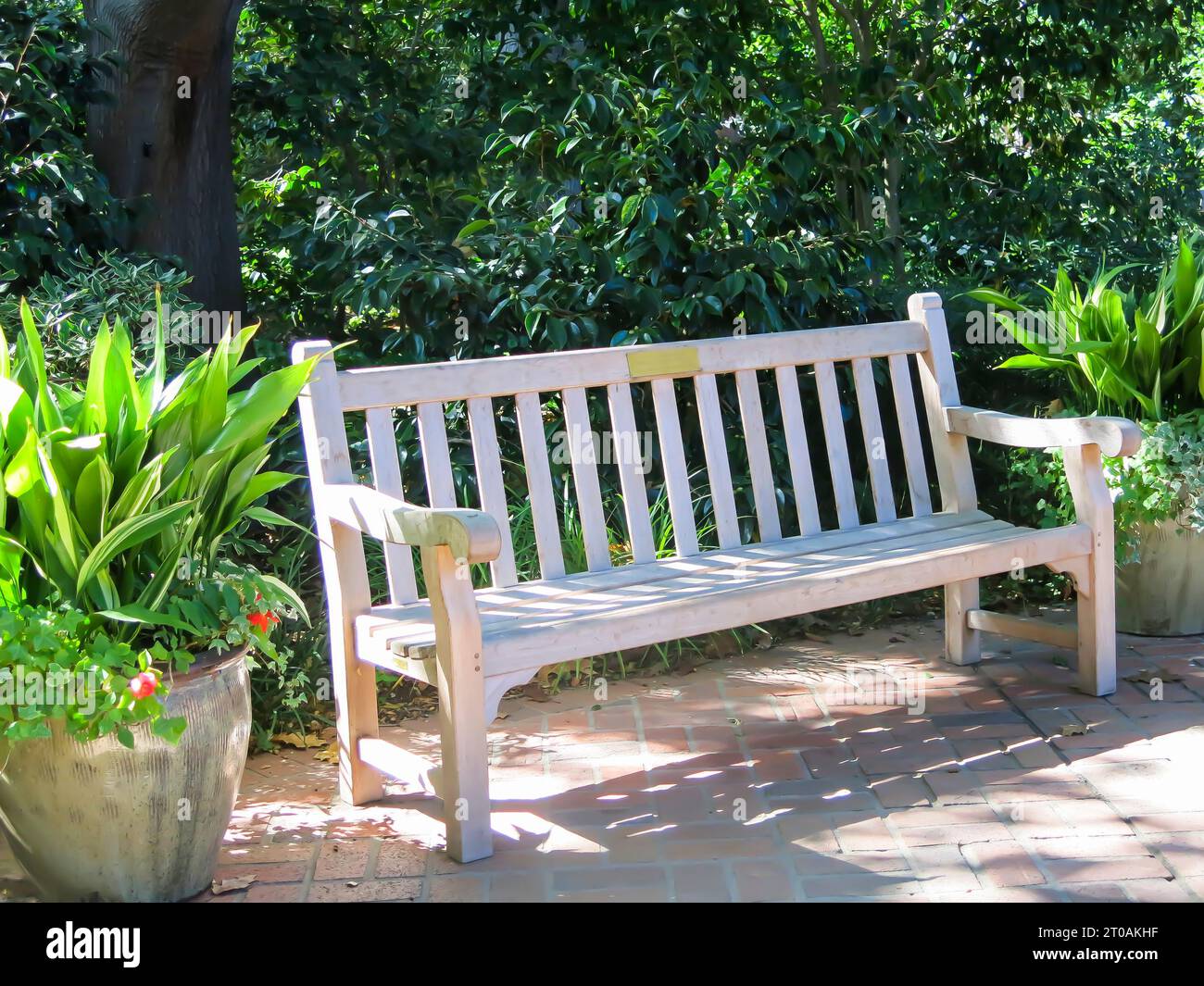Wood garden bench hi-res stock photography and images - Alamy