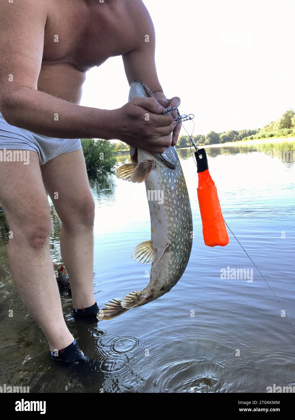 Pickled bleaming hi-res stock photography and images - Alamy