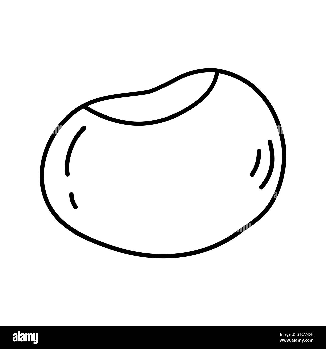 Chestnut without shell, autumn design element, doodle style flat vector ...