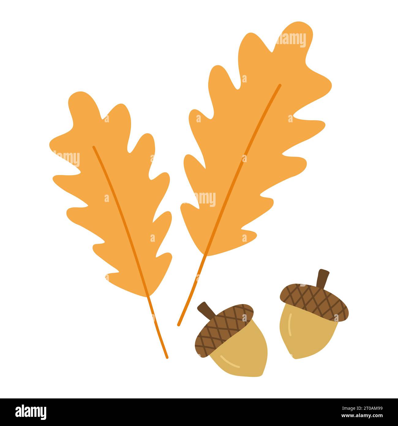 Oak leaves and acorns, autumn design elements, doodle style vector illustration Stock Vector ...