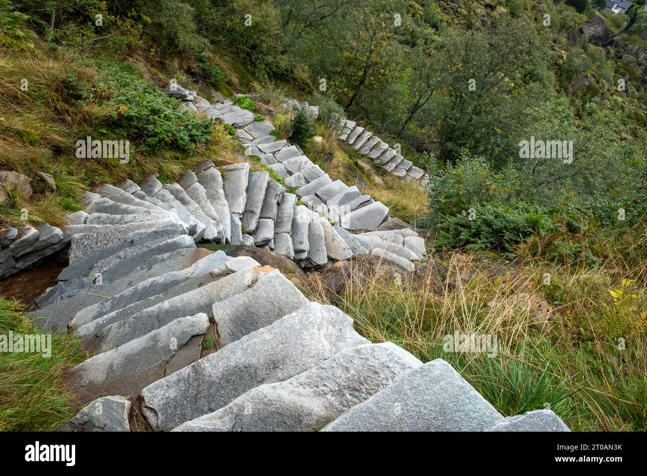 Steep stairs, built from Nepal sherpas, leading to the famous ...