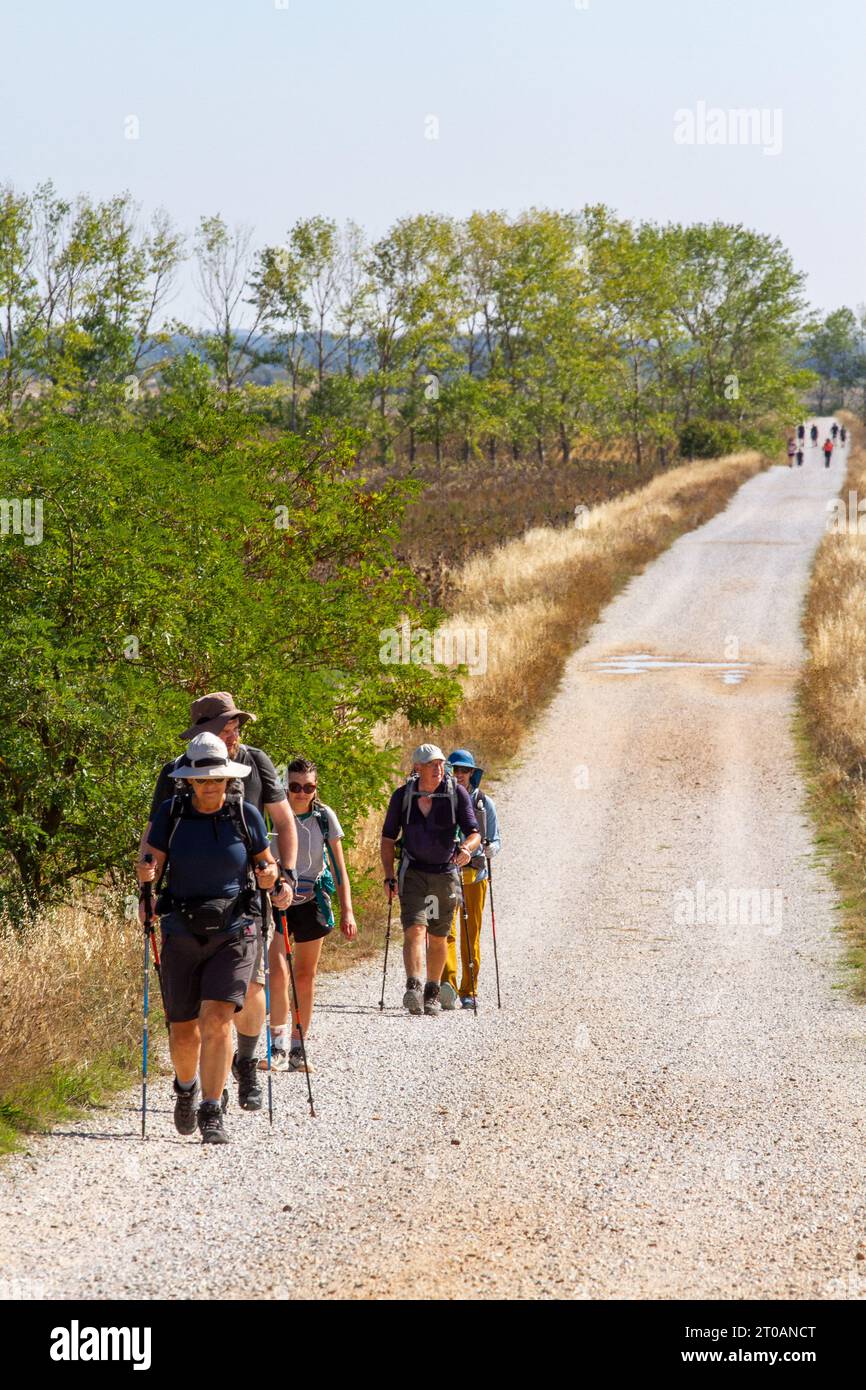 Pilgrims backpacking walking the long distance Spanish Camino de ...