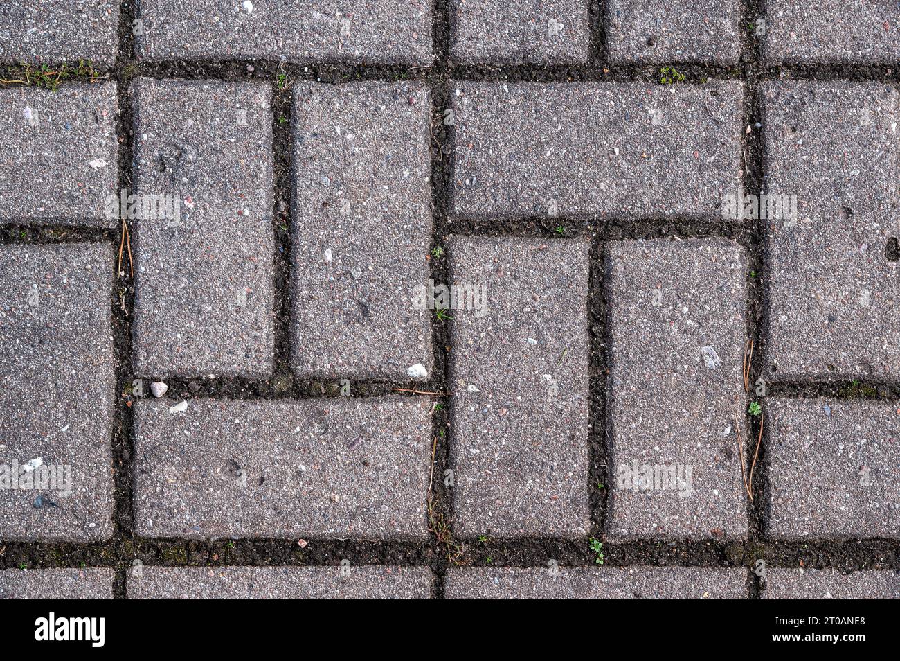 Fragment of a rectangular stone paved sidewalk, with soil between the ...