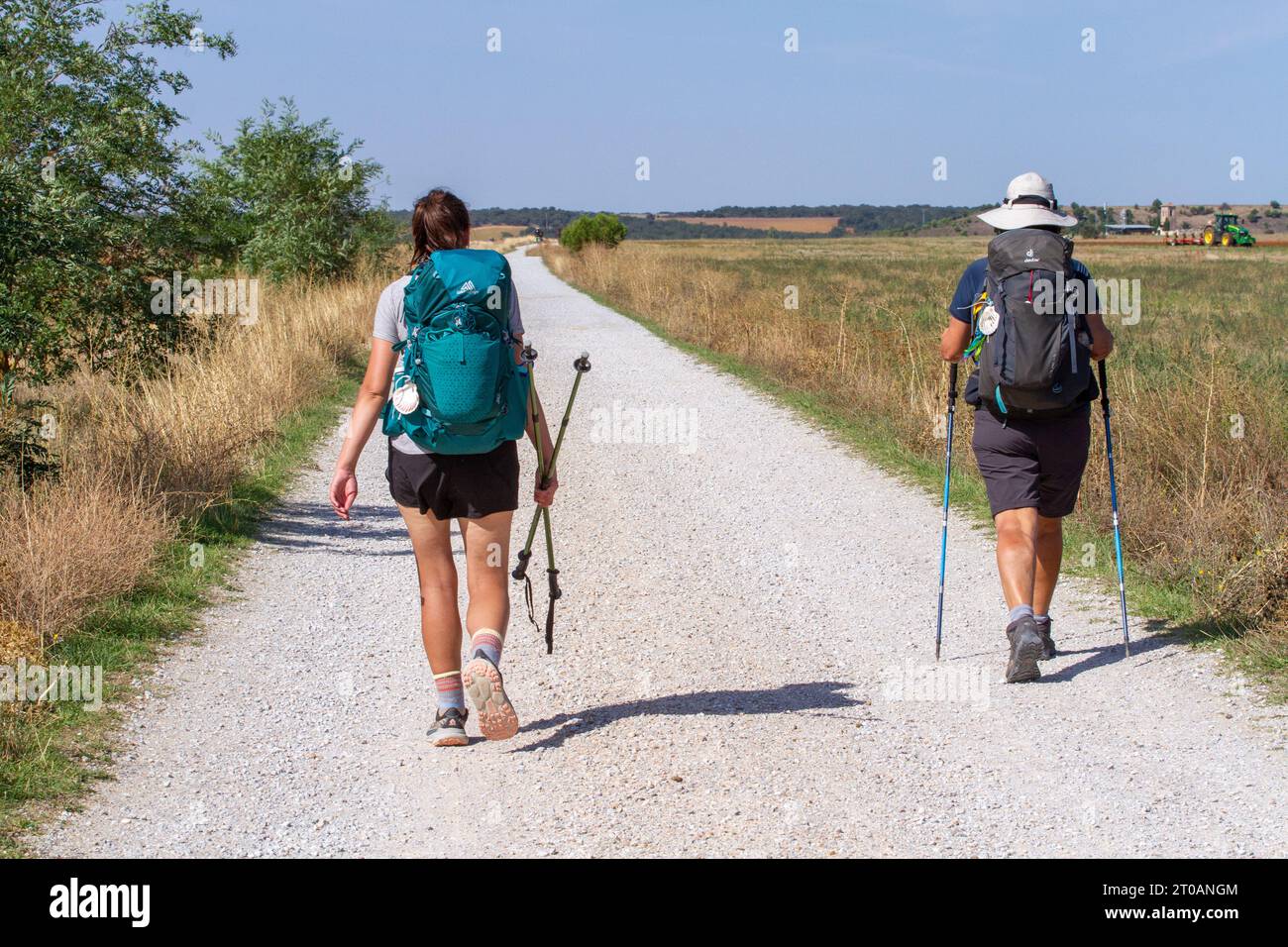 Pilgrims backpacking walking the long distance Spanish Camino de ...