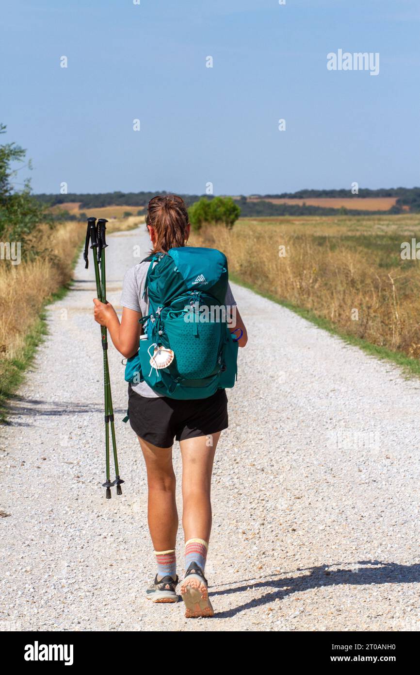 Pilgrims backpacking walking the long distance Spanish Camino de ...