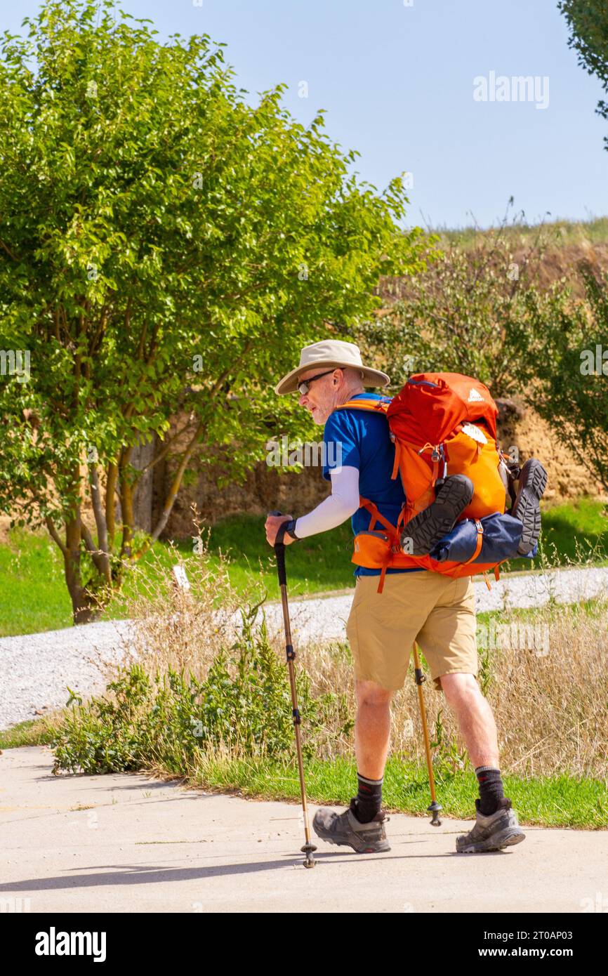 Pilgrims backpacking walking the long distance Spanish Camino de ...
